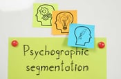 Data Segmentation - definition, techniques, examples